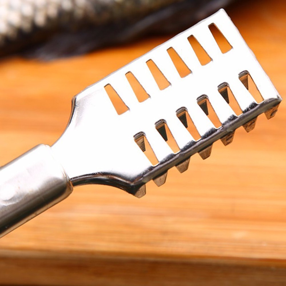 COOKING TOOLS FISH Scaler For Chefs And Restaurateurs Kitchen Tool £5. ...
