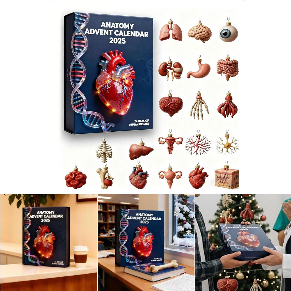 2025 HUMAN ANATOMY Advent Calendar with 24 Science Themed Body ...